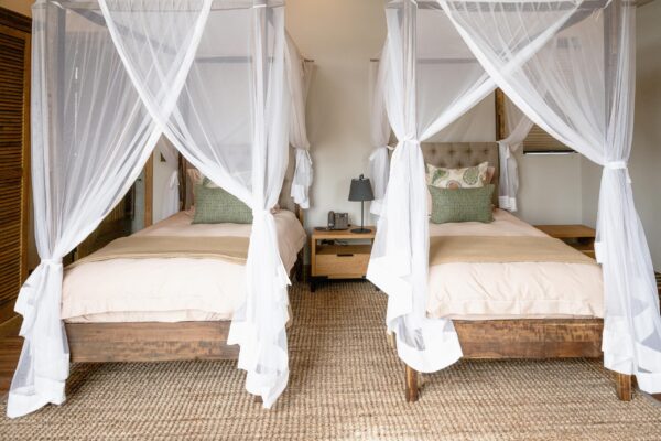 Accommodation – Kaingo Rocks