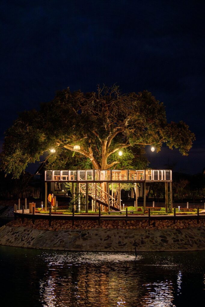 Accommodation – Kaingo Rocks